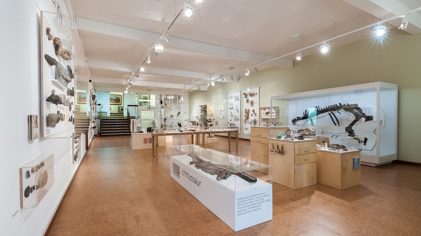 Collections & Galleries - Derby Museums | Derby Museums