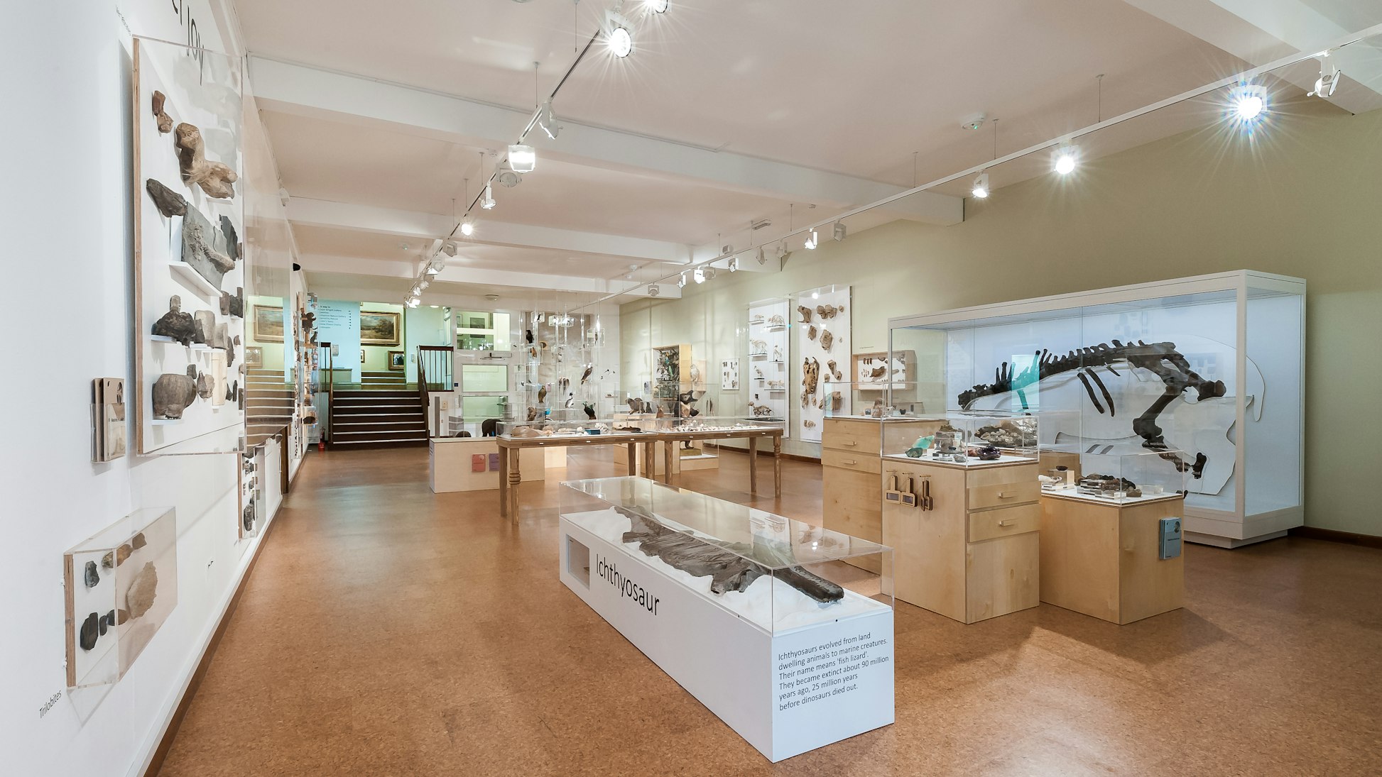Collections & Galleries - Derby Museums | Derby Museums