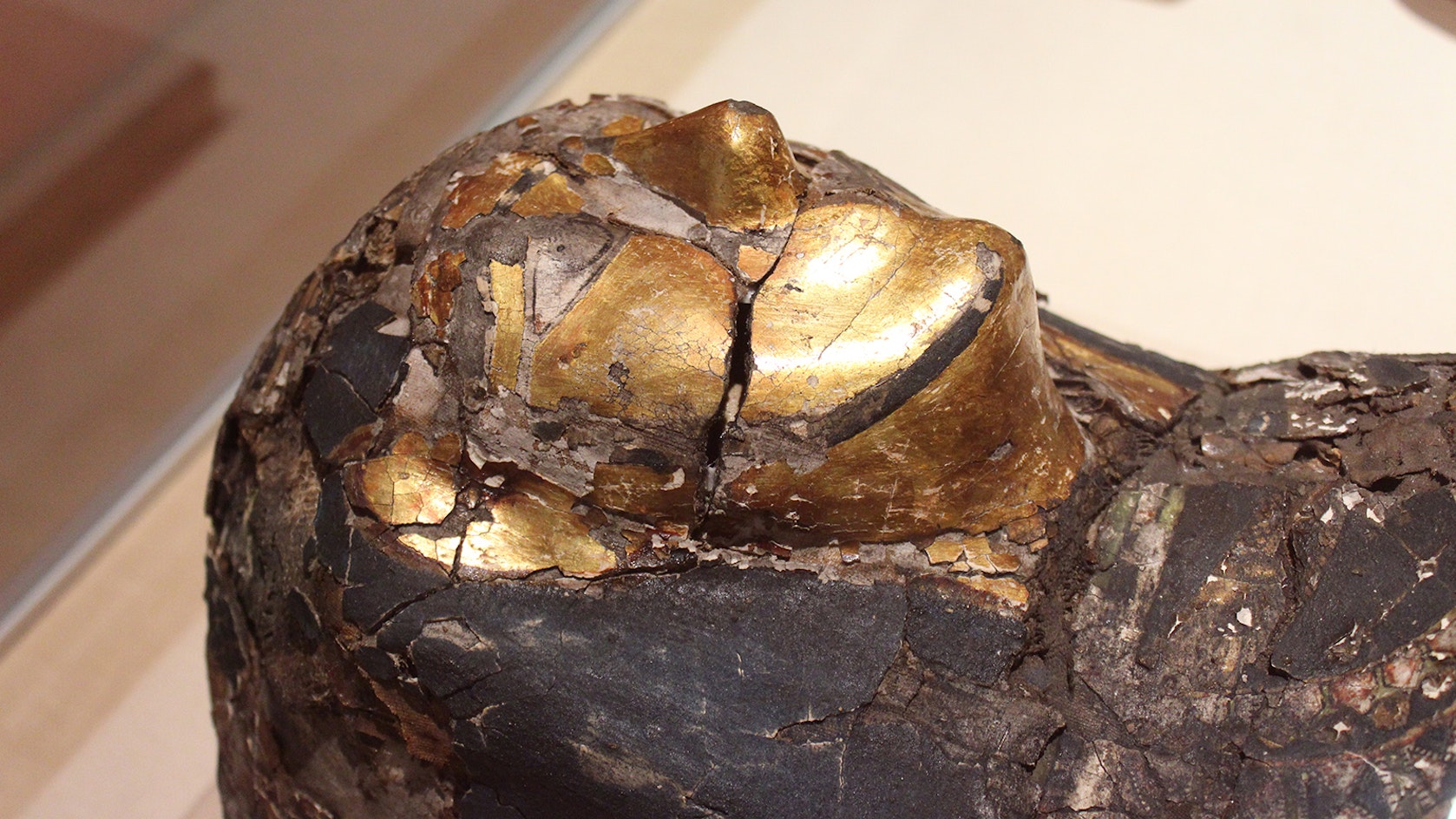 Visit the Museum & Art Gallery - Derby Museums | Derby Museums
