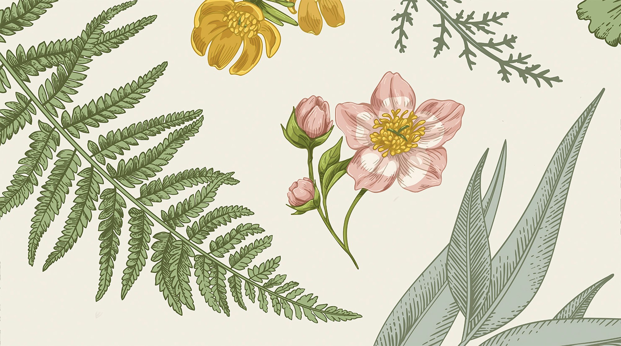 History Makers: Unfolded