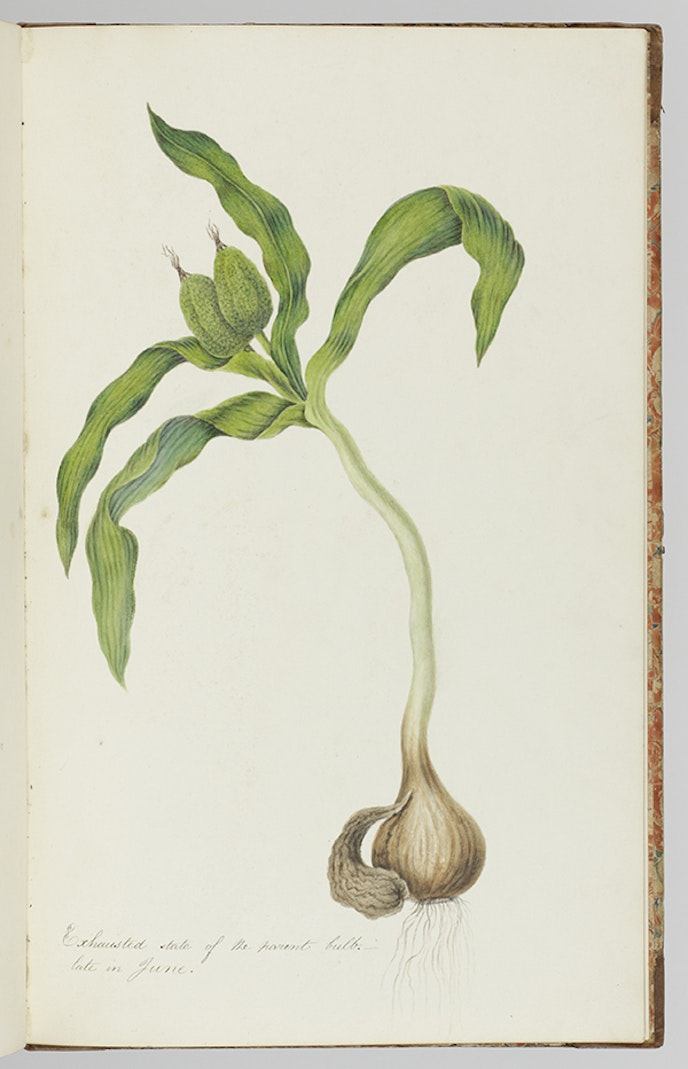 Lucy Hardcastle: Unfolding the overlooked – Creative Writing Workshop ...