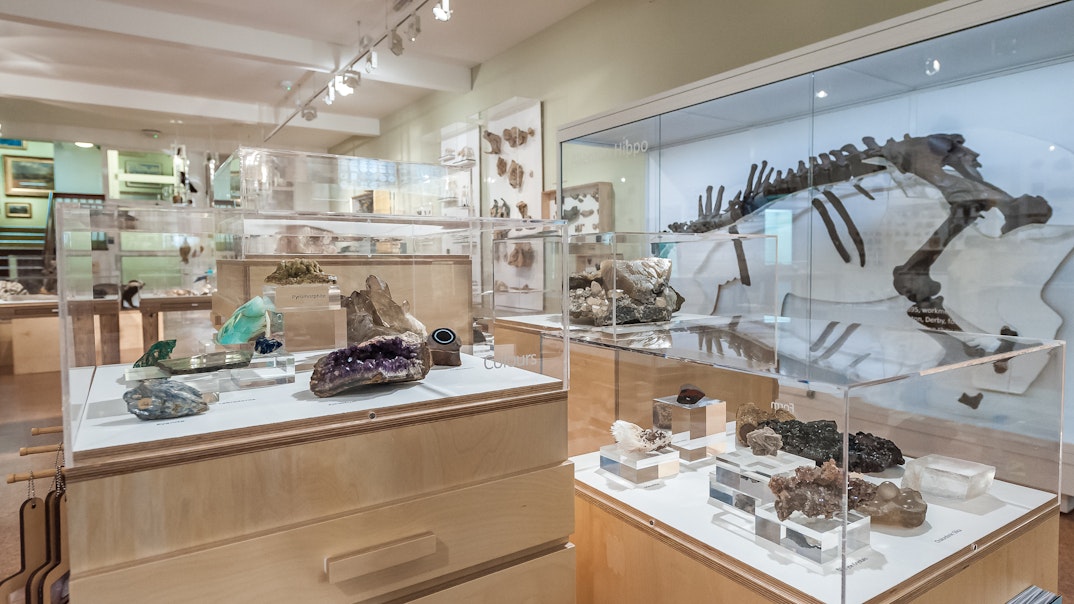 Make your own Fossil